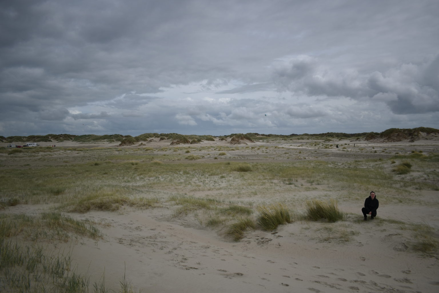Natur erleben auf Rømø, im Nationalpark Wattenmeer - Quer zum Meer