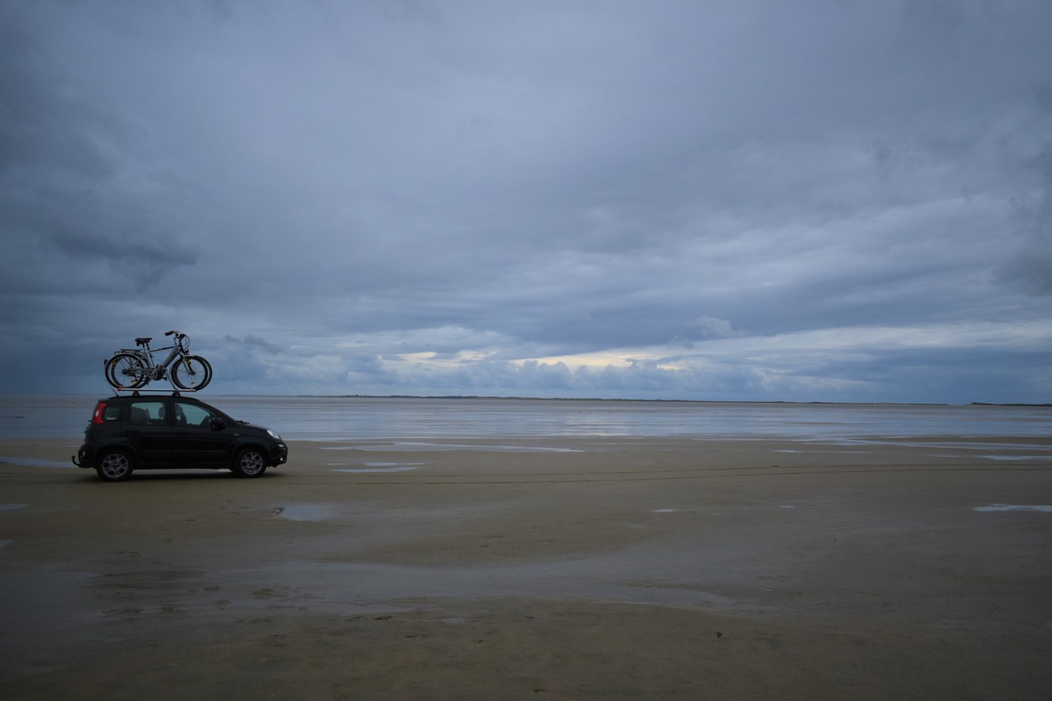 Natur erleben auf Rømø, im Nationalpark Wattenmeer - Quer zum Meer