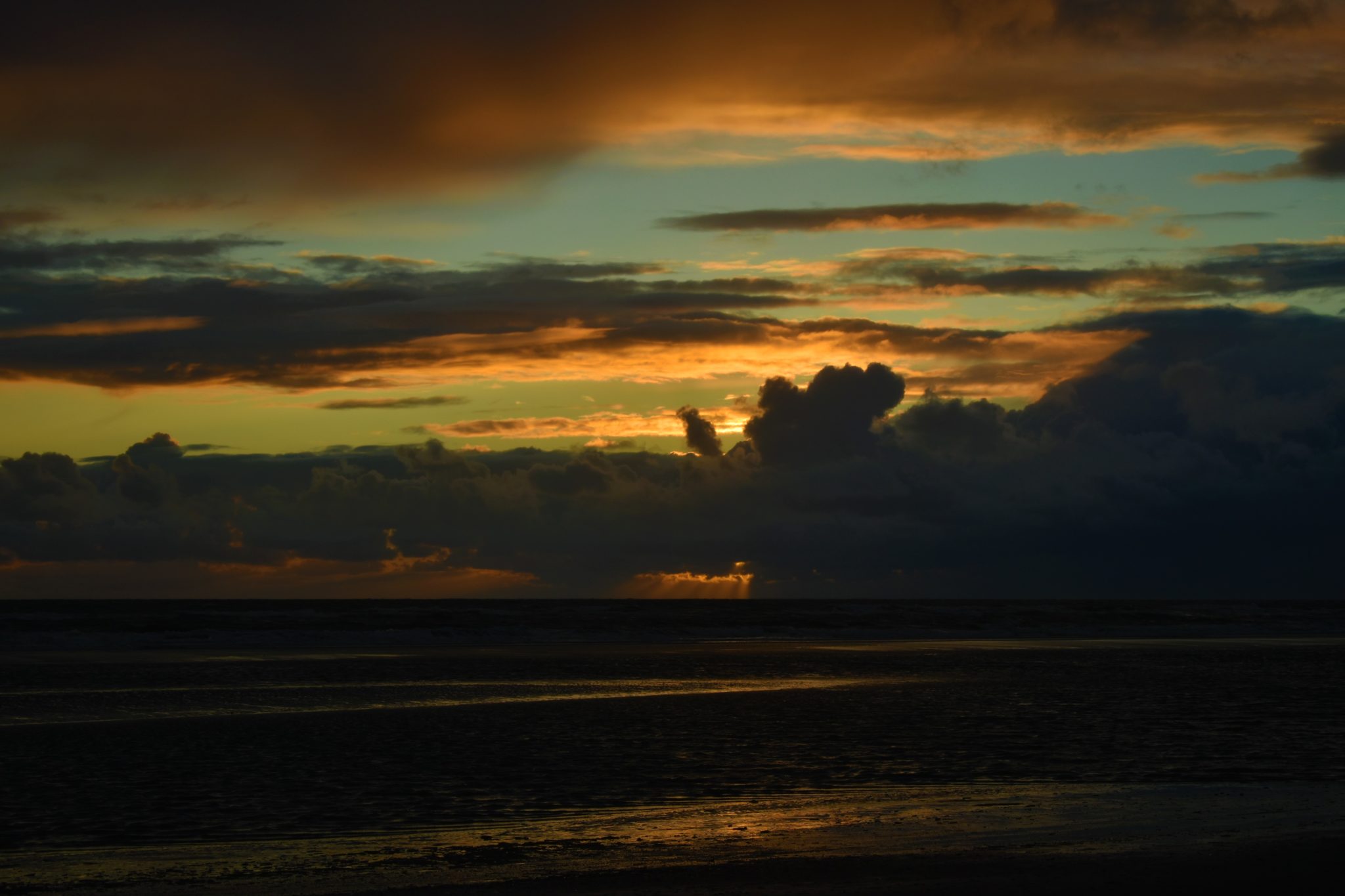 Natur erleben auf Rømø, im Nationalpark Wattenmeer - Quer zum Meer